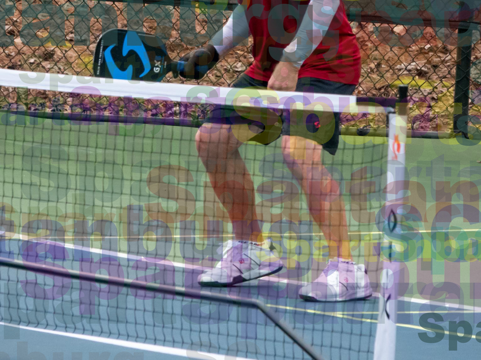 Advertise to South Carolina Pickleball Players | PickleballSpartanburg.com